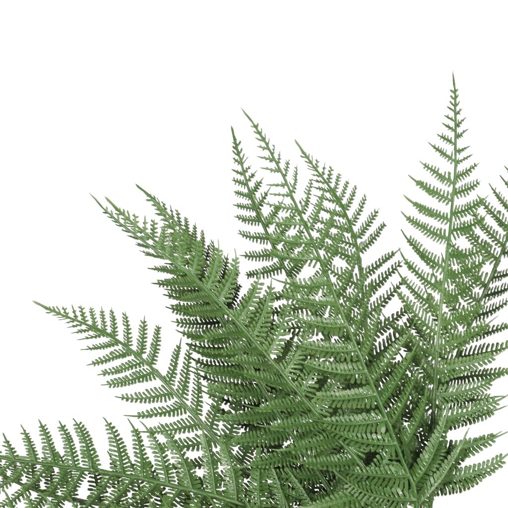 Artificial Large Fern Bush at Evergreen Direct