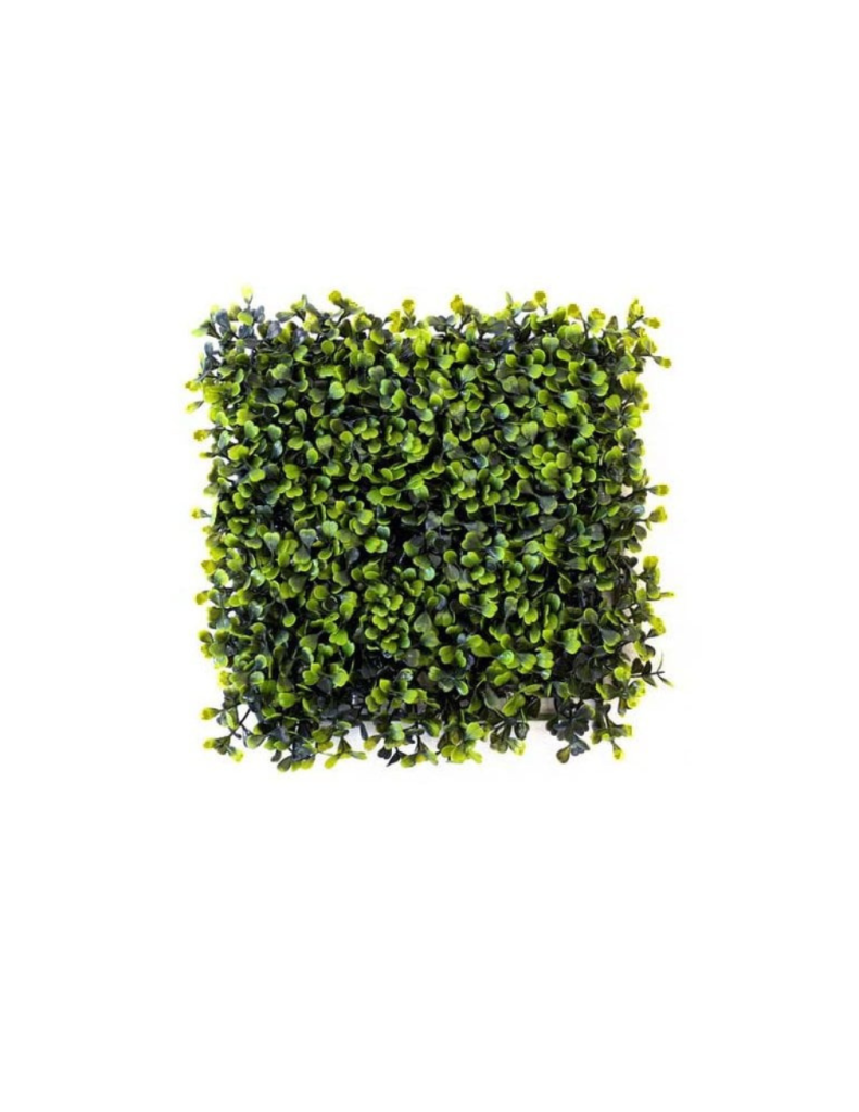 Artificial Boxwood Hedge Panels at Evergreen Direct