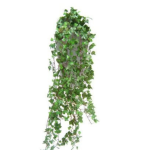 Artificial English Ivy From Evergreen