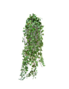Artificial English Ivy From Evergreen