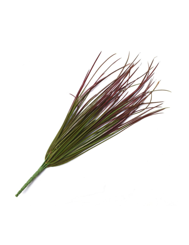 Artificial Red Tipped Reed Grass From Evergreen Direct