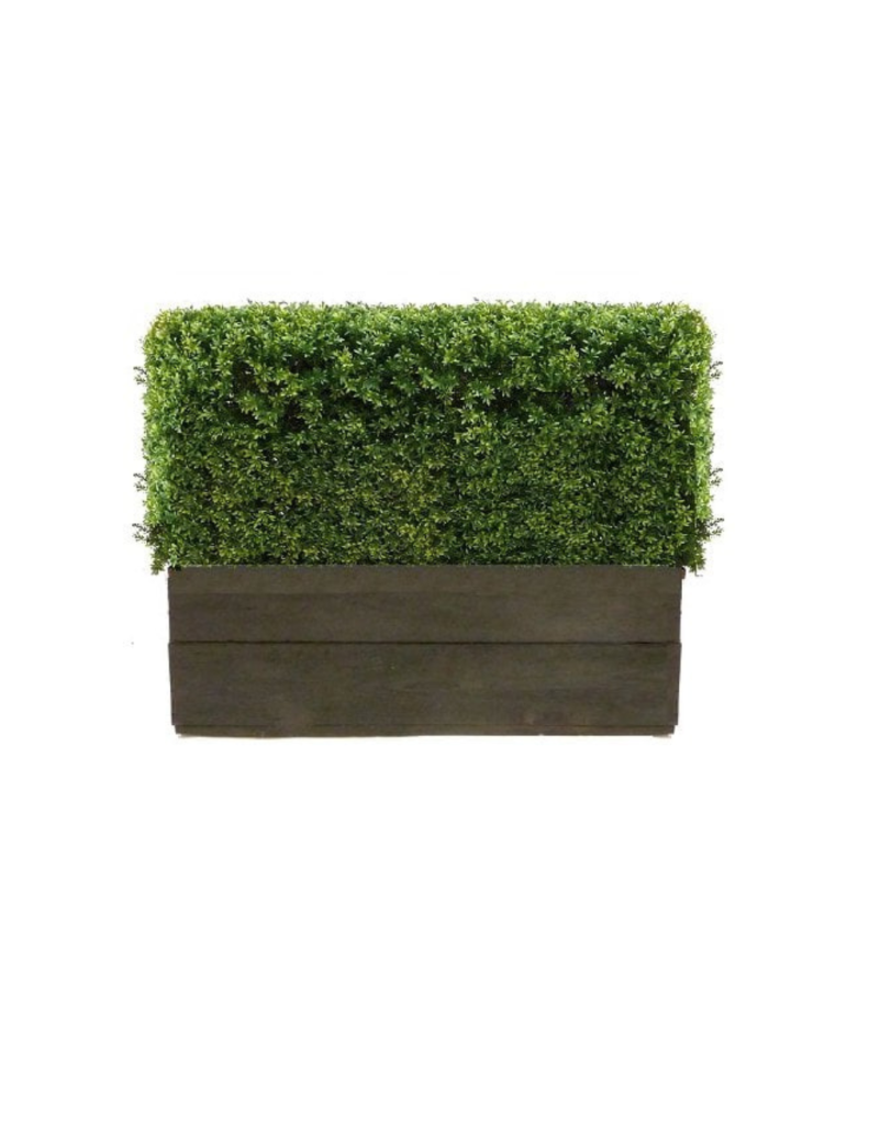 #1 Artificial Hedge | Most Realistic Buxus | Evergreen Direct