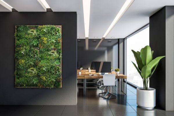 Bespoke Artificial Green Wall | Custom Cut Sizes | Evergreen