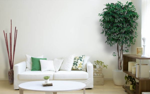 Evergreen Direct | Artificial Plants, Trees, Living Walls & Hedges