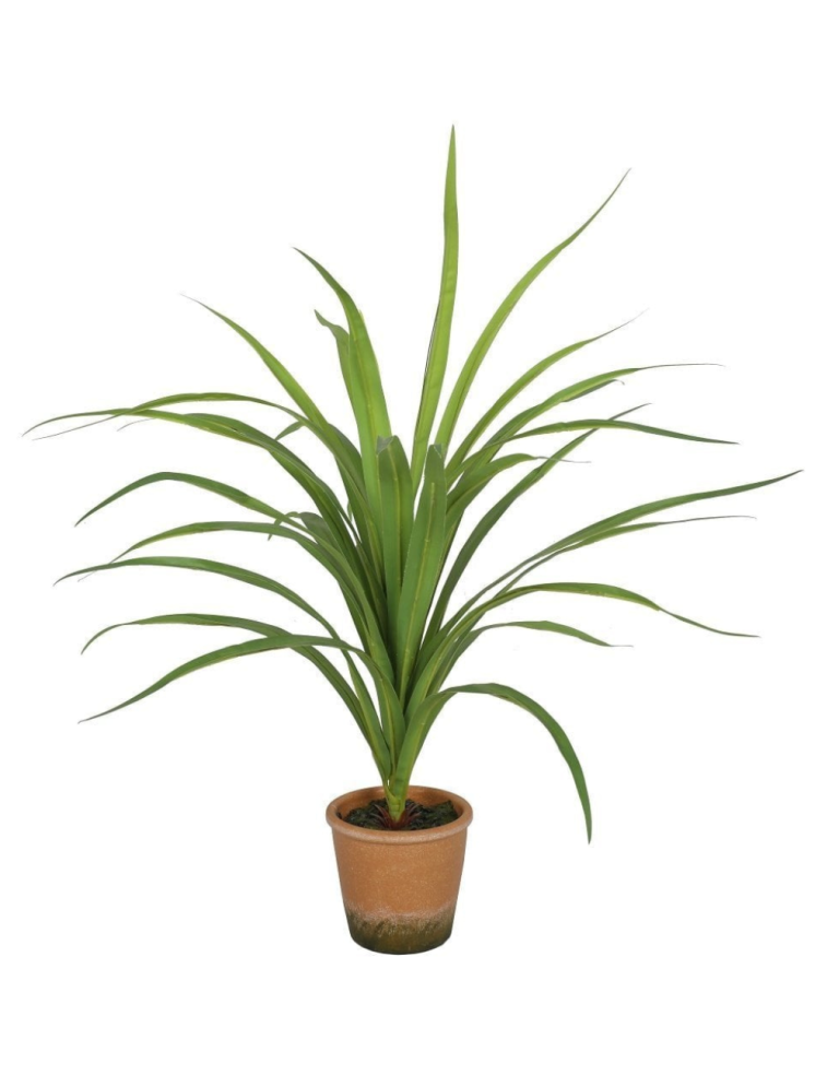 Artificial Potted Grass Palm Plant at Evergreen Direct