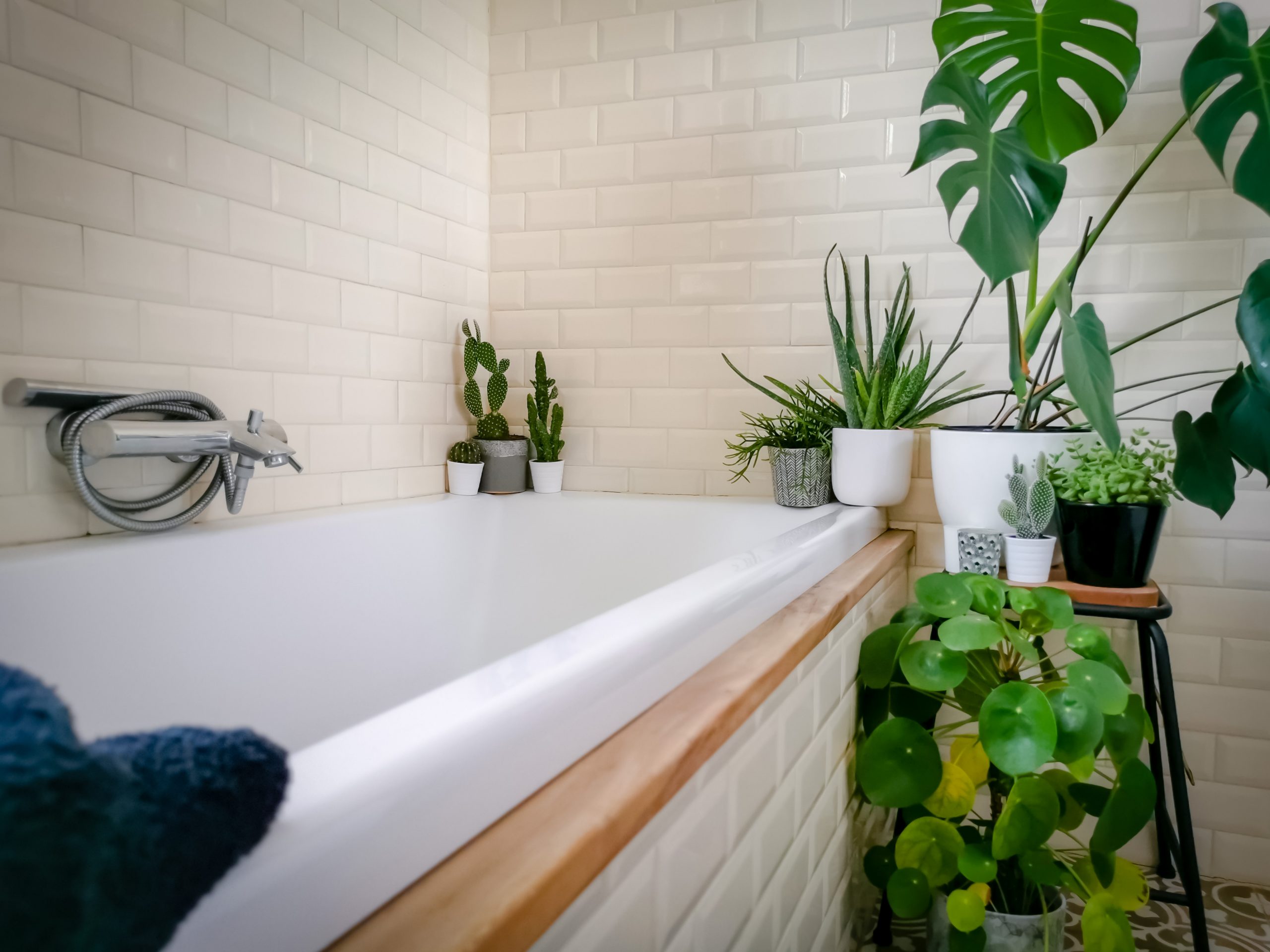 Using Artificial Plants In Your Bathroom Reasons Why You Should Evergreen Direct