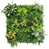 Artificial Green Wall | Vertical Garden - Evergreen Direct
