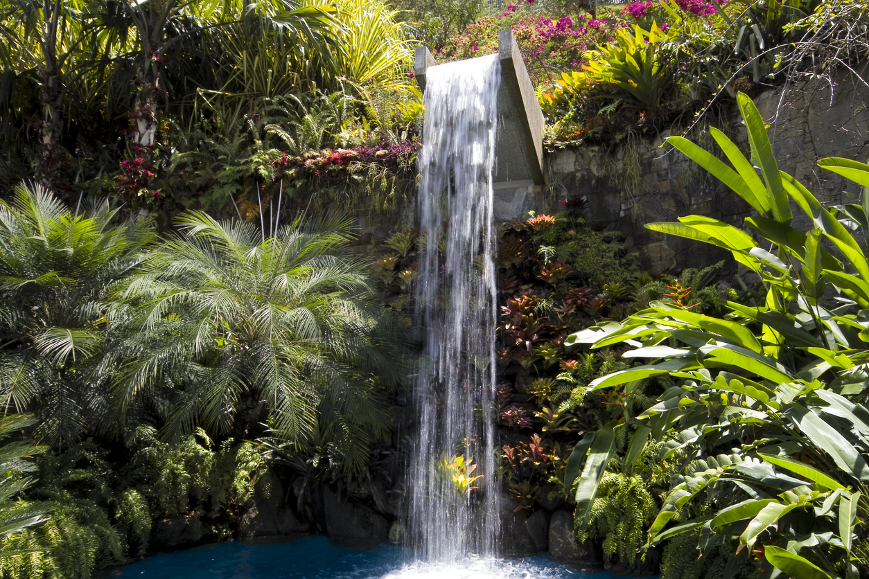 Create A Botanical Waterfall: Plants That Flow And Fall - Evergreen Direct