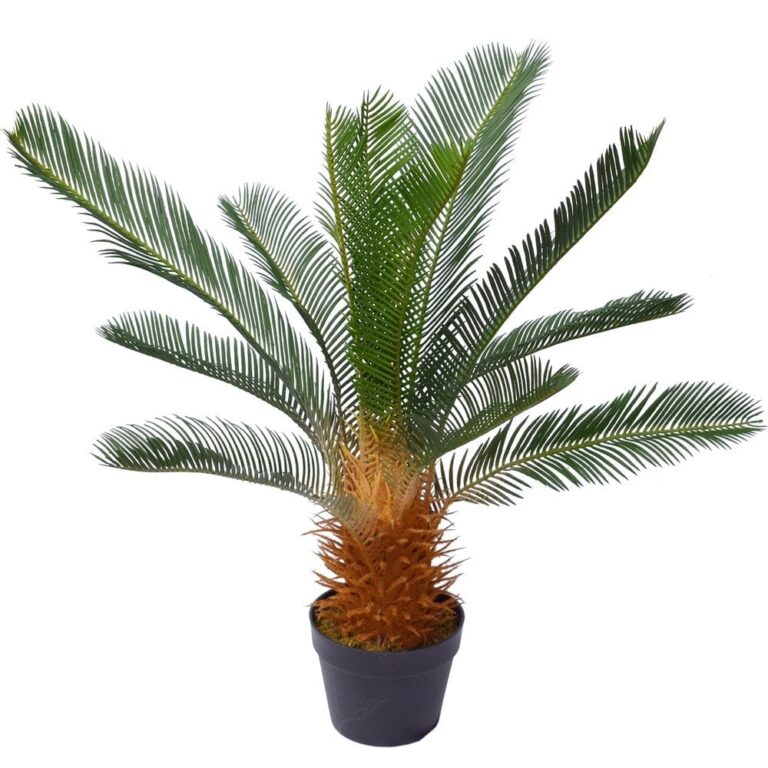 #1 Artificial Cycas Palm Trees & Artificial Palm Trees - Evergreen Direct