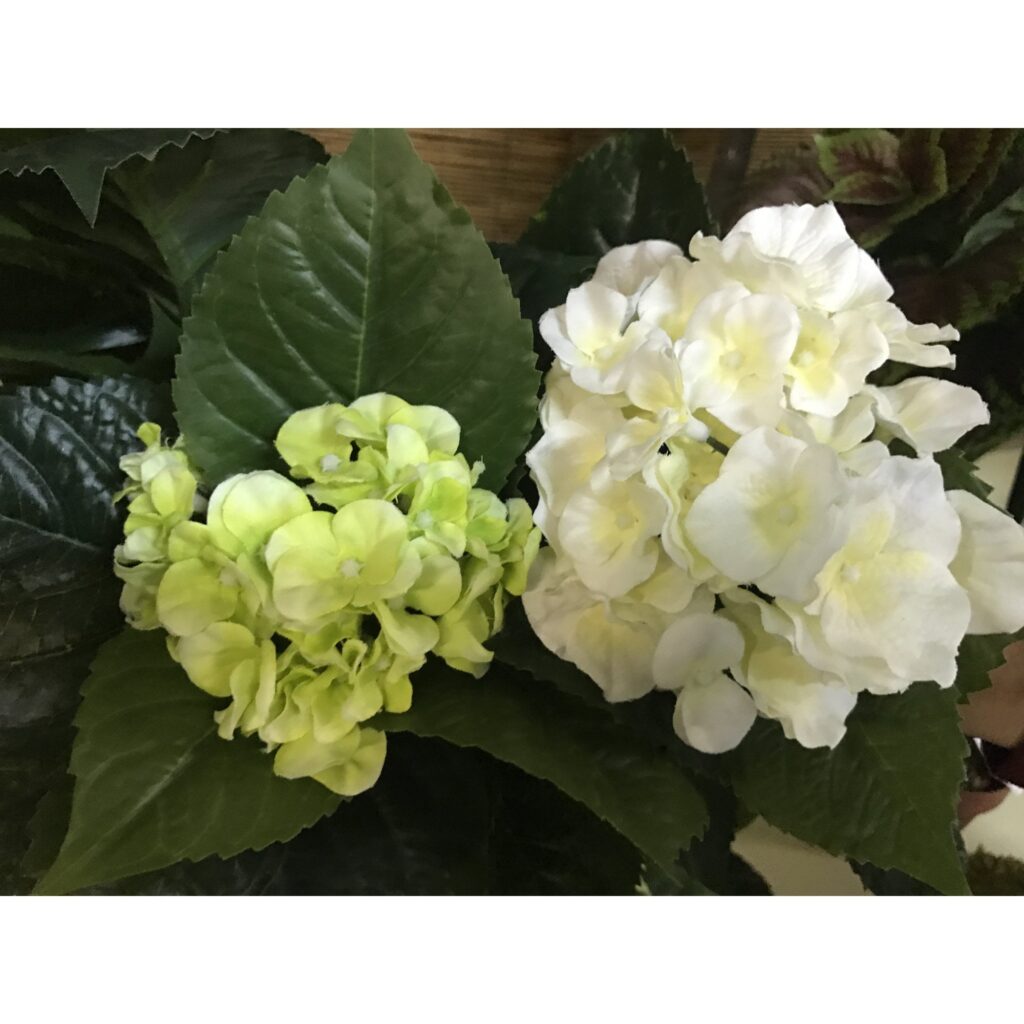 Artificial Hydrangea Flowering Plant at Evergreen Direct