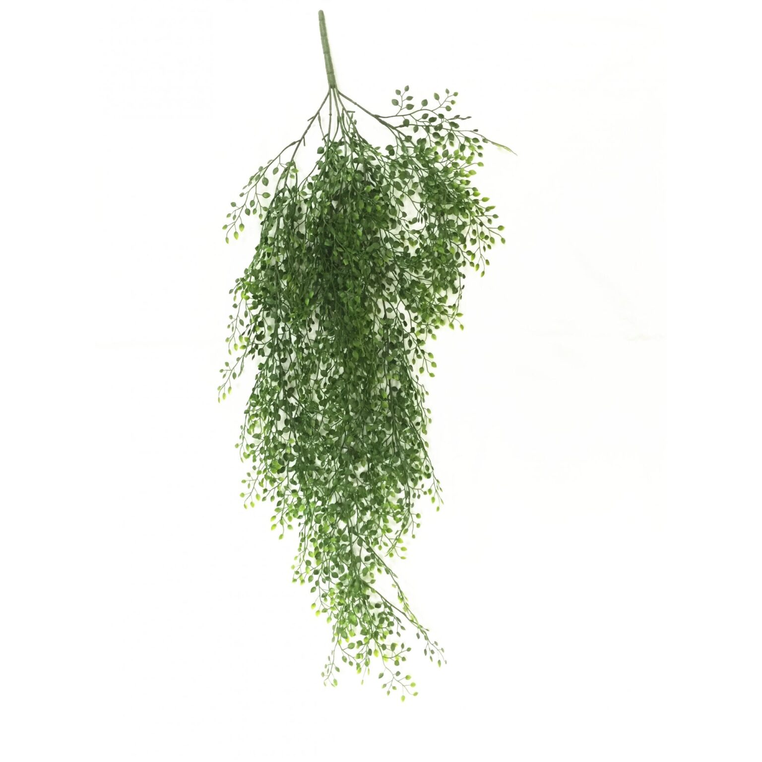 Artificial Mini Leaf Trailing From Evergreen