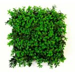 Artificial Buxus Hedge Panels at Evergreen Direct