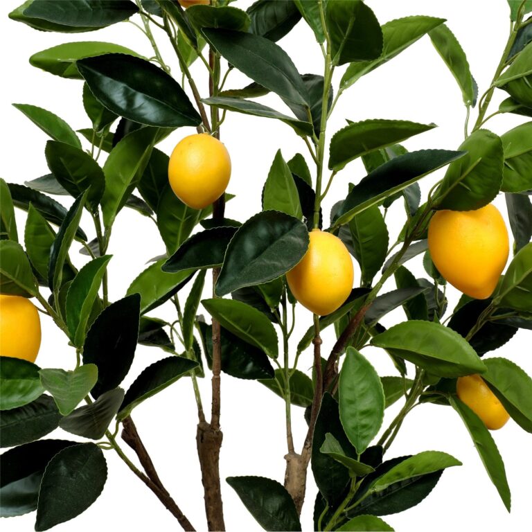 Artificial Lemon Tree at Evergreen Direct