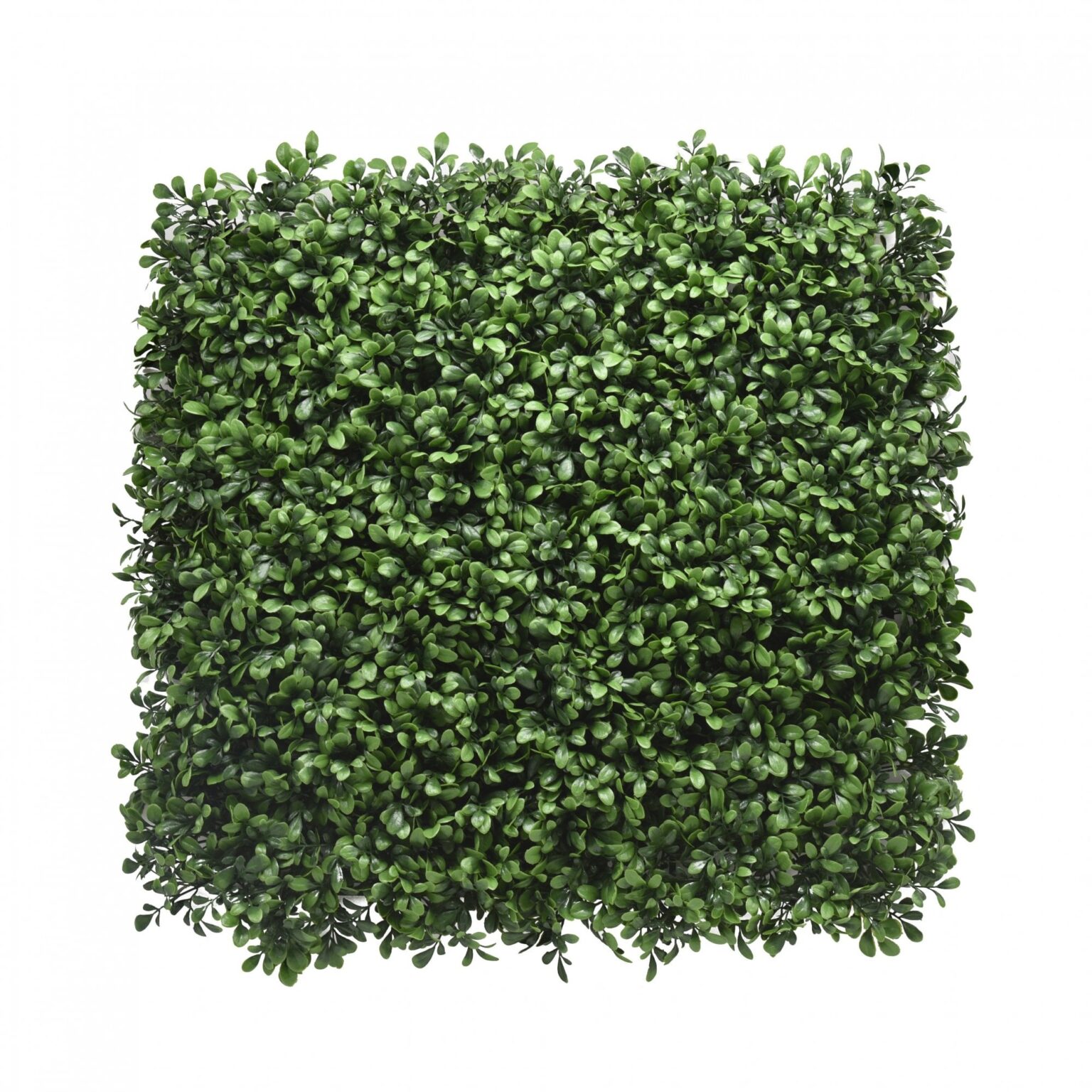 Artificial Green Wall | Vertical Garden - Evergreen Direct