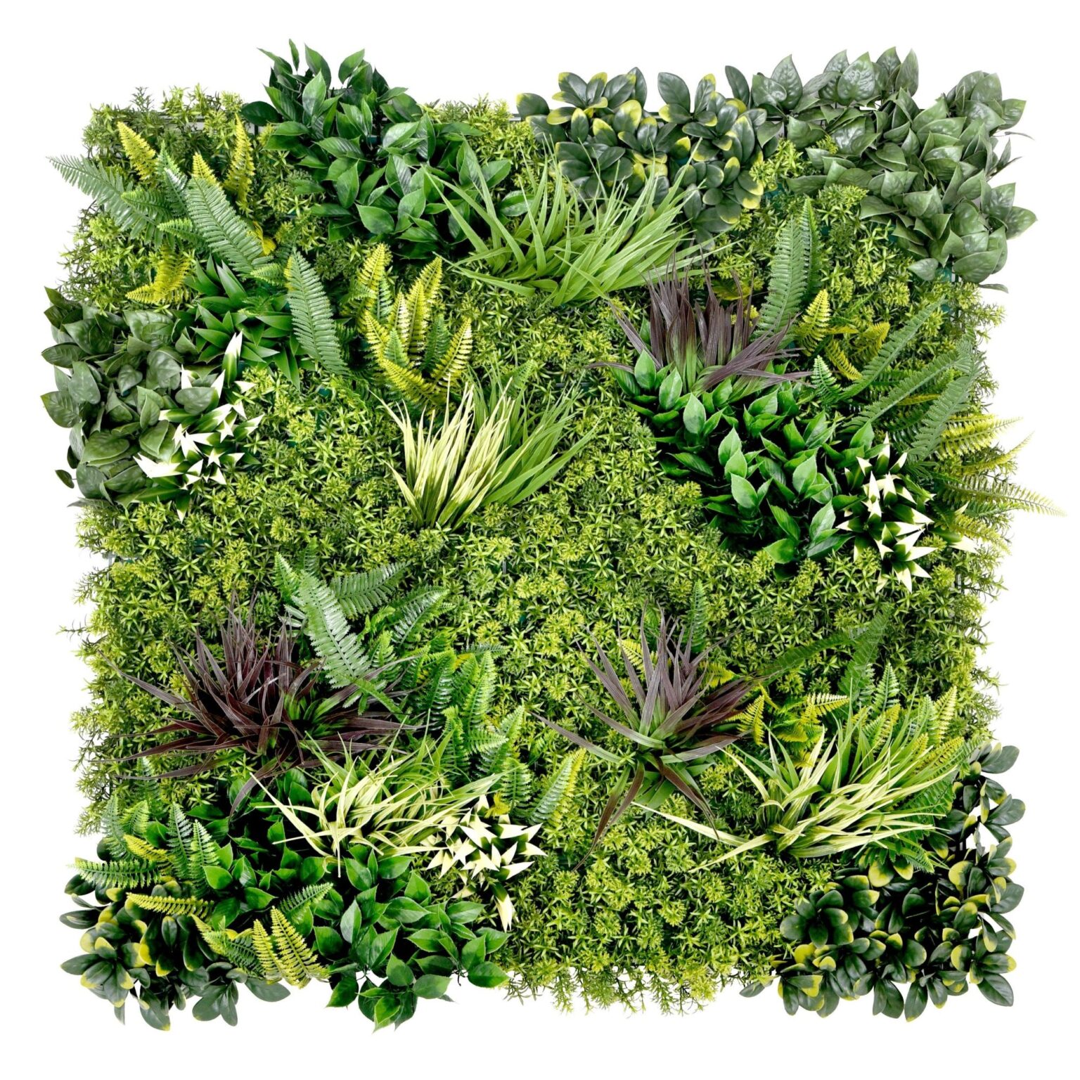 Artificial Living Green Wall Panels | Evergreen Direct