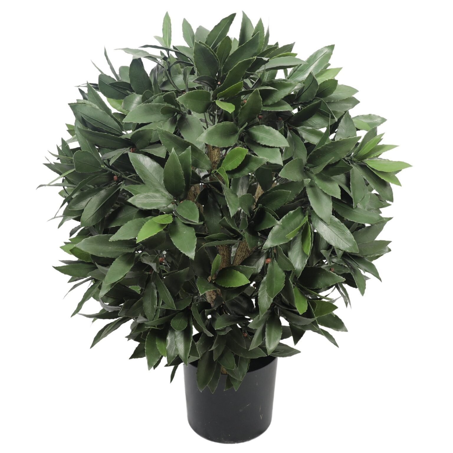 Artificial Bay Laurel Ball Tree Topiary | Evergreen Direct