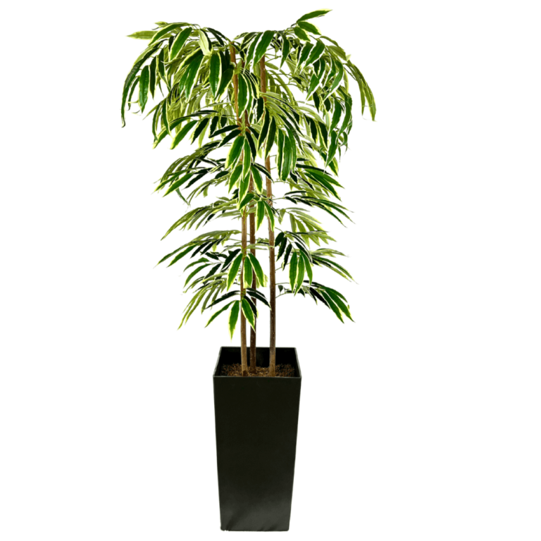 Artificial Ficus Alii Tree | Evergreen Direct