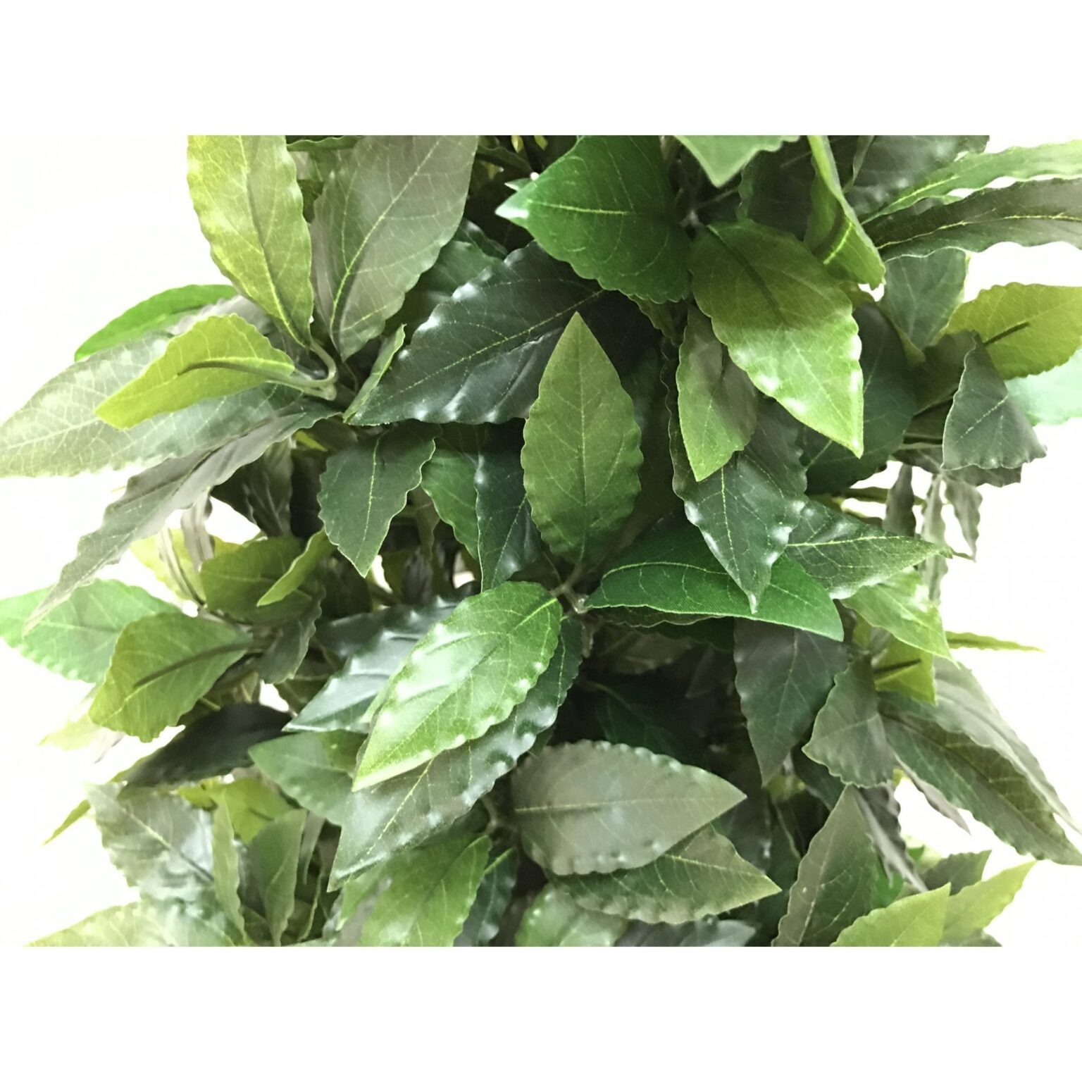 Artificial Bay Tree Cone | Evergreen Direct
