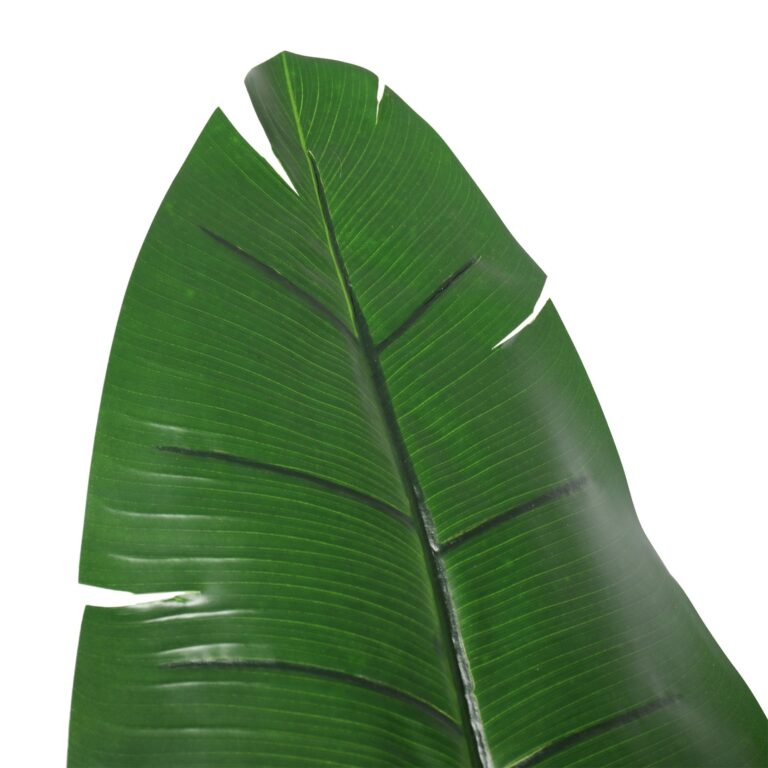 Artificial Interior Banana Tree 220cm | Evergreen Direct