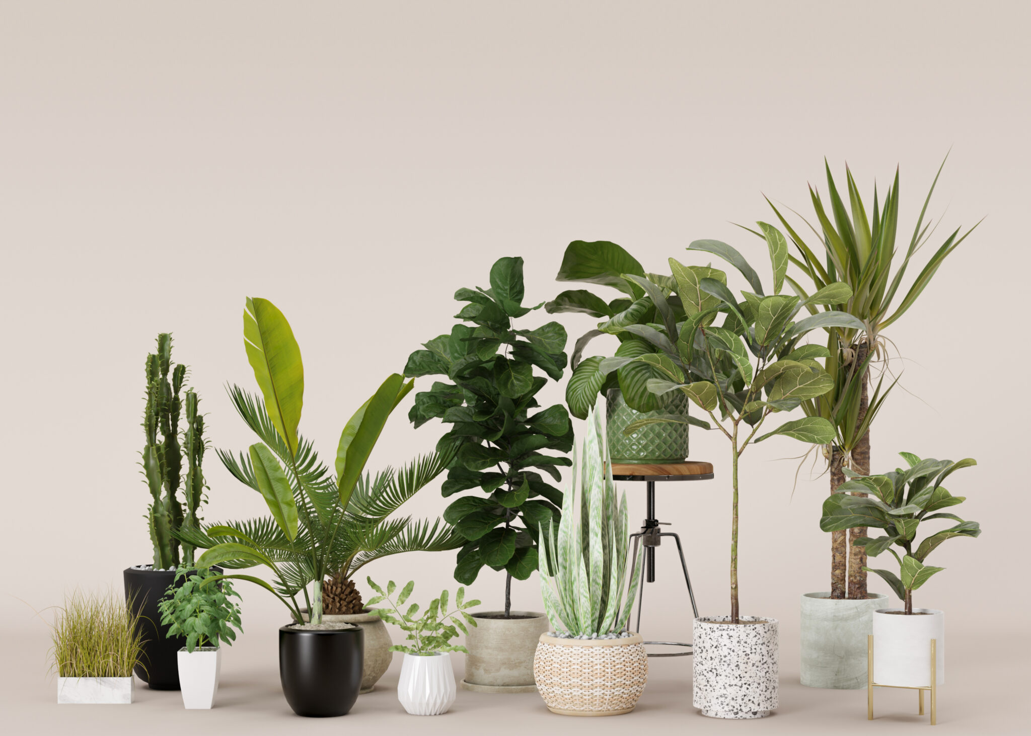 How To: Potting up your Topiary Ball| Evergreen Direct