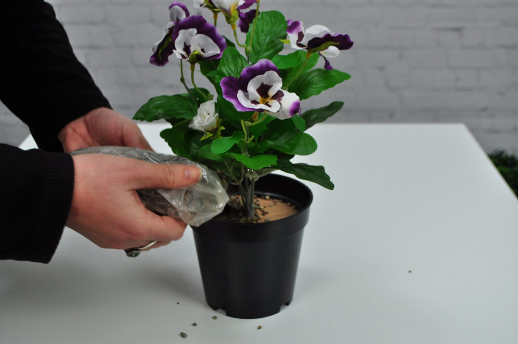 How To: Potting up your Tree or Plant | Evergreen Direct