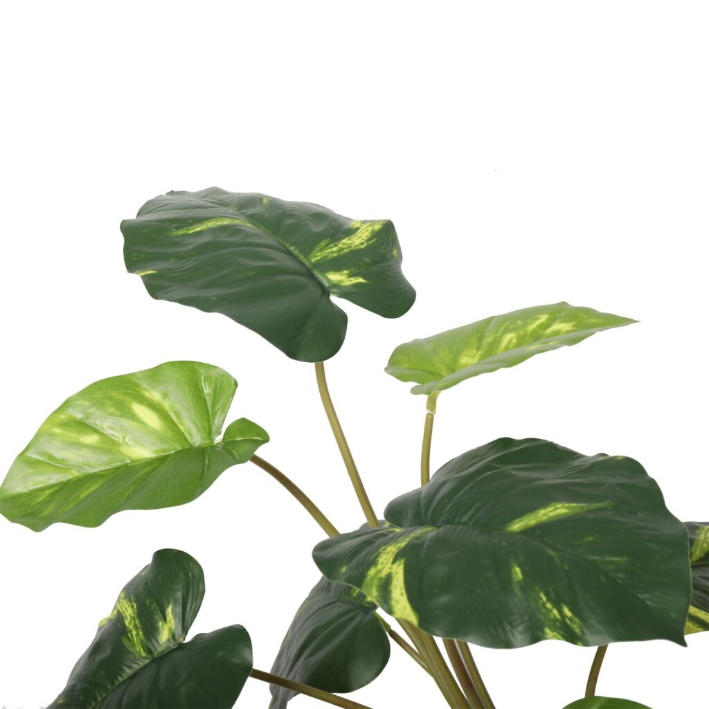Artificial Evergreen Plant | Evergreen Direct