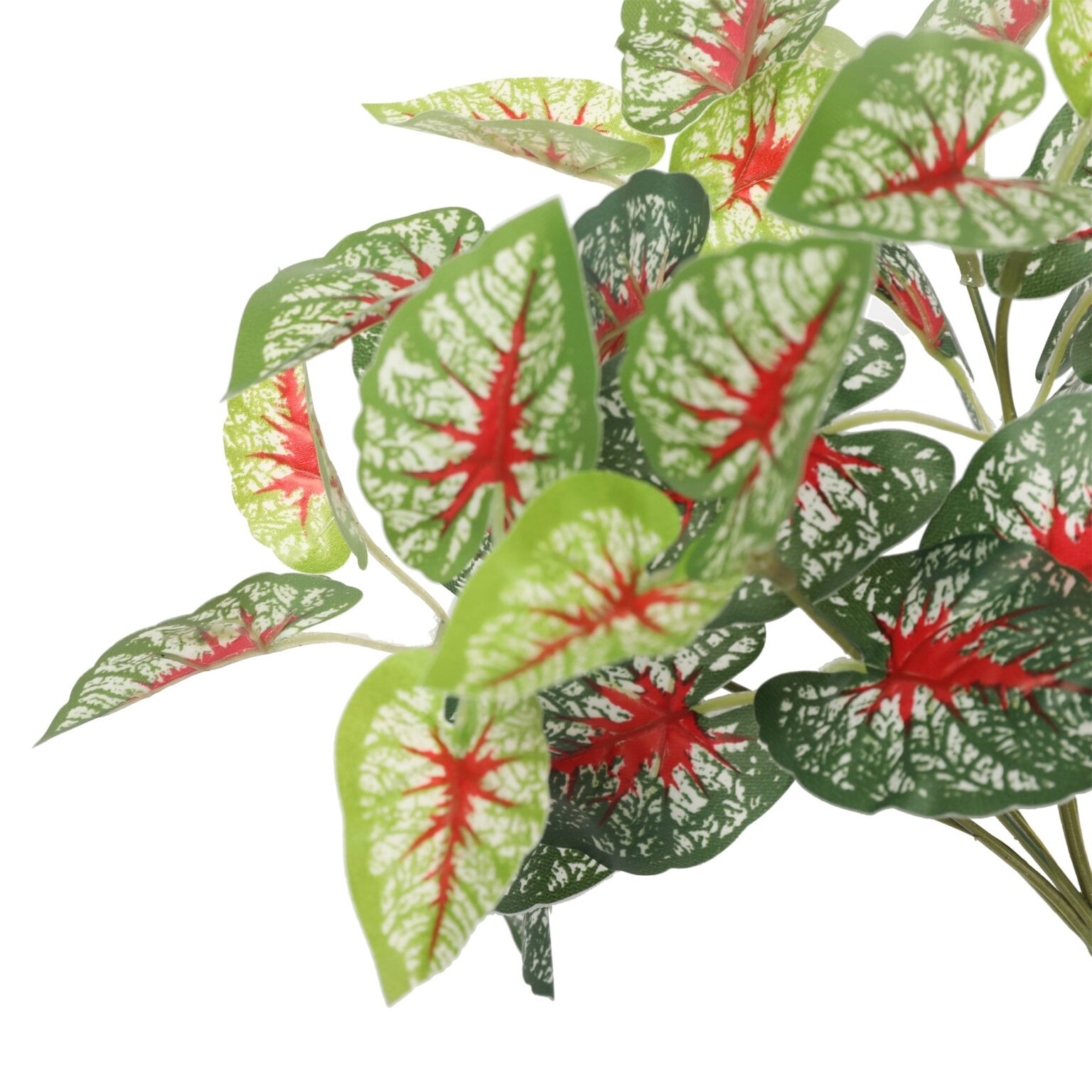 Artificial Red Taro Plant | Evergreen Direct