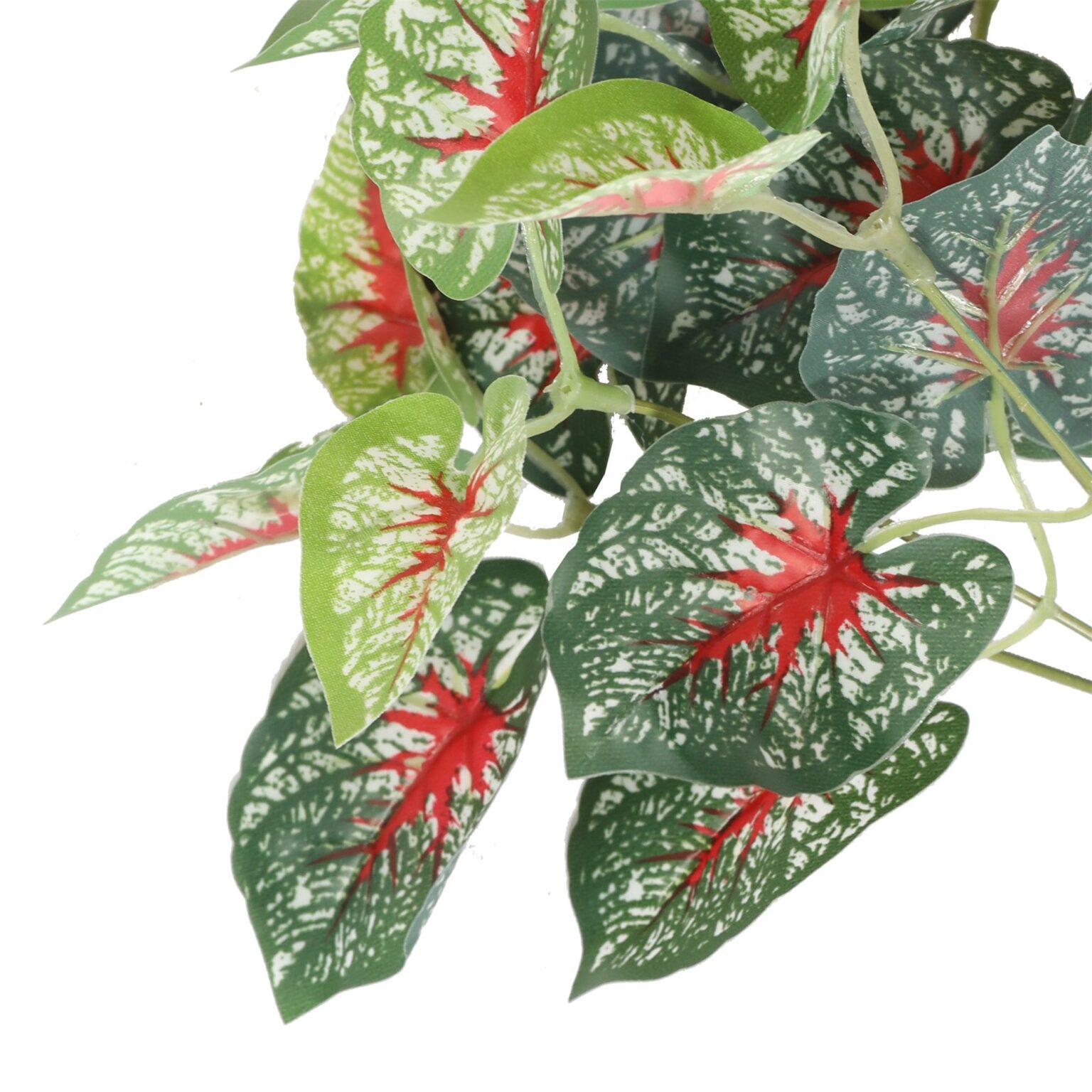 Artificial Red Taro Plant | Evergreen Direct