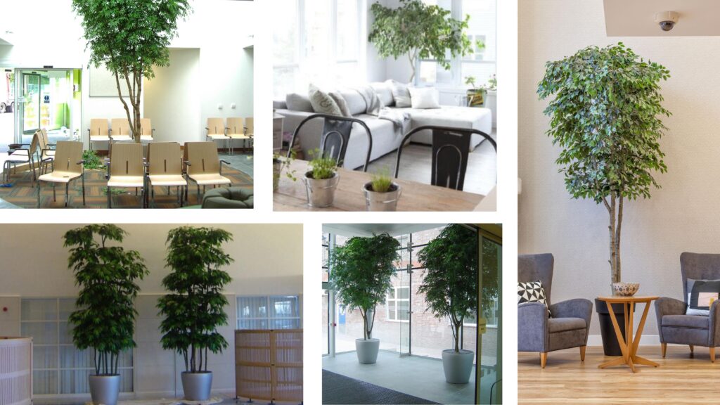 Bespoke Artificial Trees | Evergreen Direct