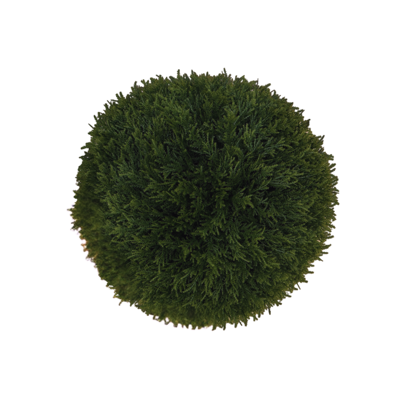 Artificial Cypress Topairy Ball | Evergreen Direct