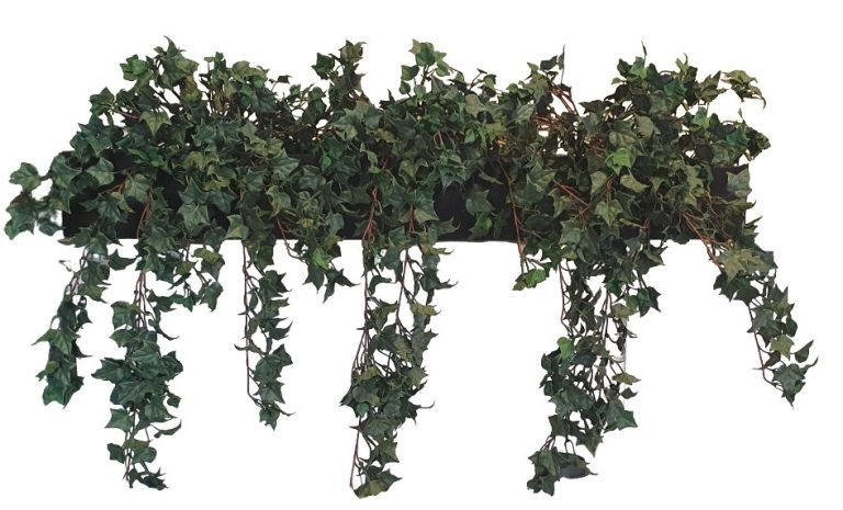 Artificial Woodland Ivy Window Box - Evergreen Direct