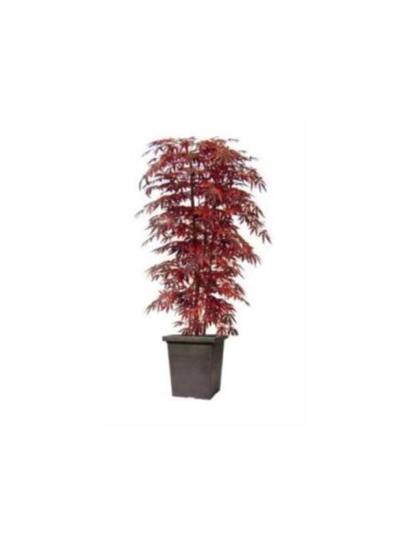 #1 for Artificial Red Maple Tree - Evergreen Direct