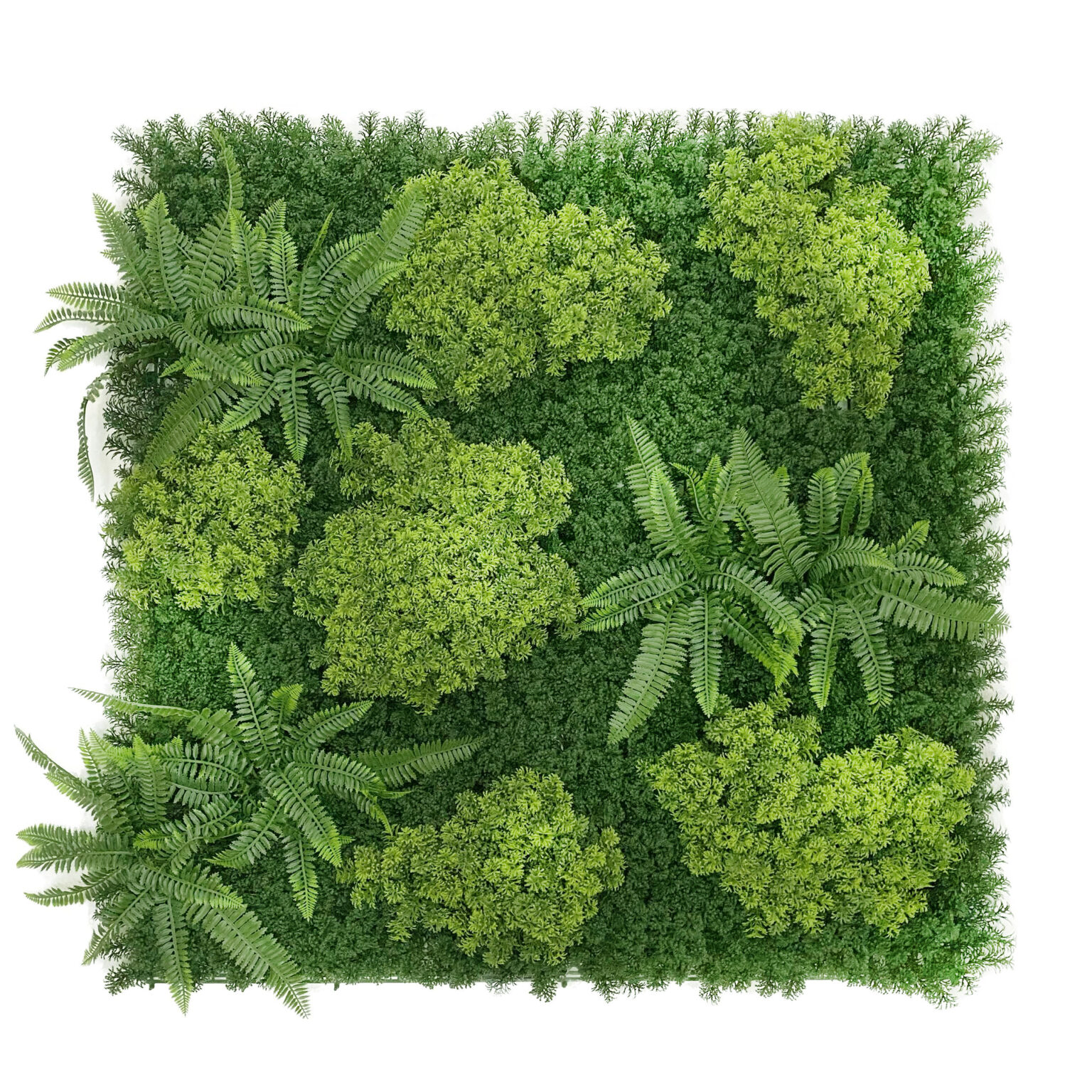Artificial Living Green Wall Panels | Evergreen Direct