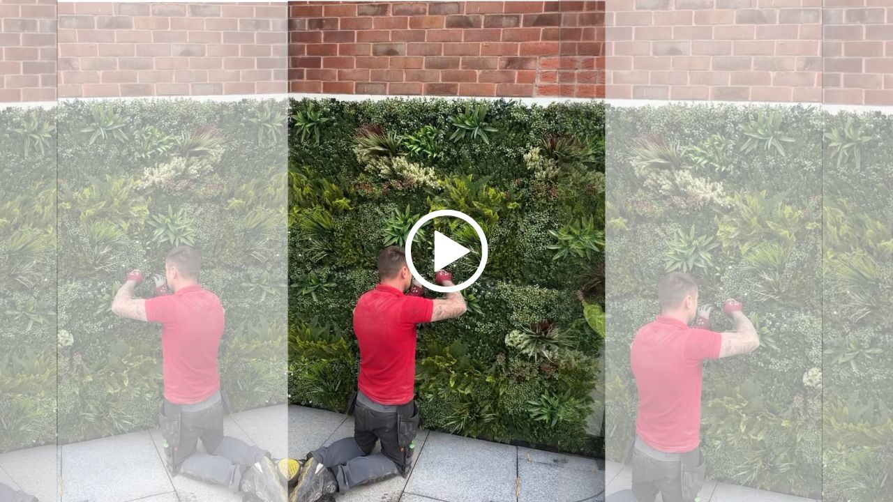 How To: Green Wall Installation | Evergreen Direct
